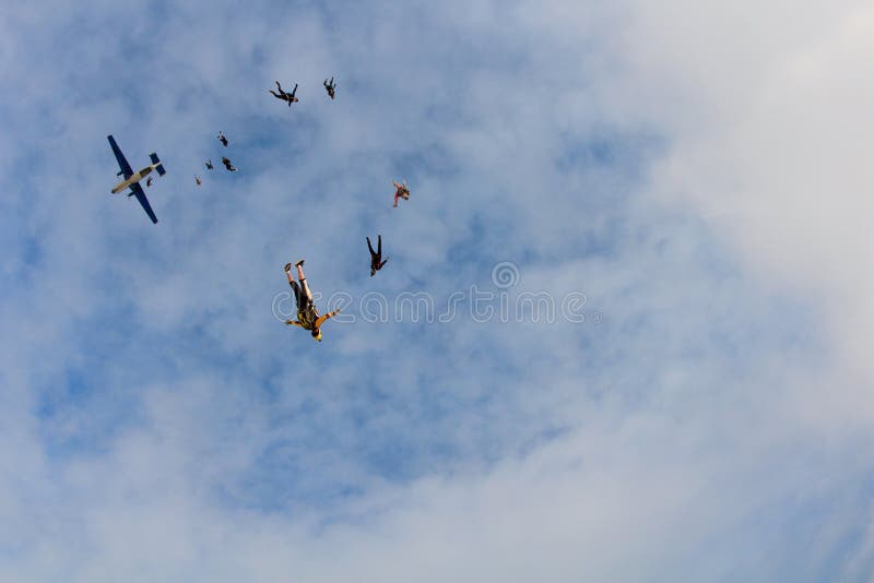 292 Parachute Birds Stock Photos - Free & Royalty-Free Stock Photos ...