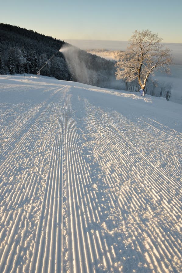 Petr Cihak (Petin) - Photographer profile