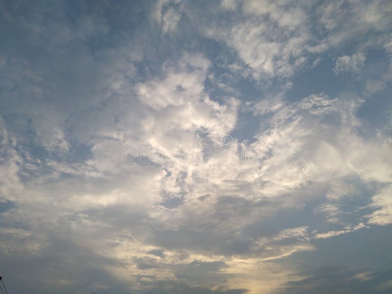 Skylark stock photo. Image of solitude, skylark, evening - 146462704