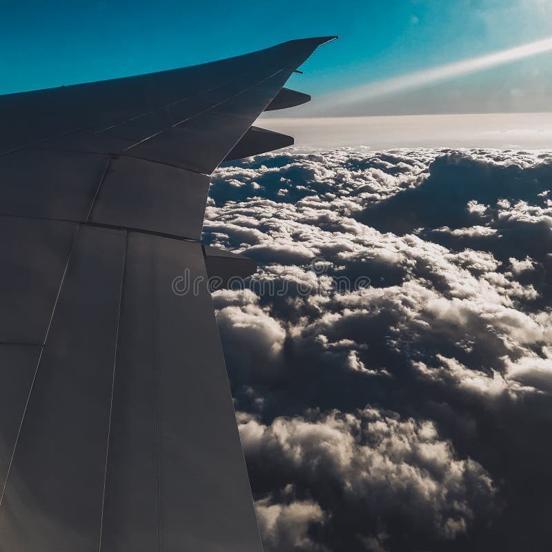 Skyline airplane stock photo. Image of airplane, horizon - 272607342