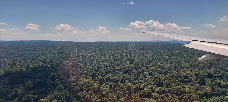 Skyline of Amazon Rainforest Brazil Stock Image - Image of agriculture ...