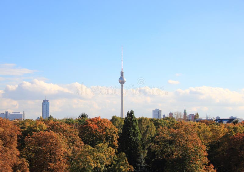 Berlin Forest Trees stock image. Image of forest, time - 168803583