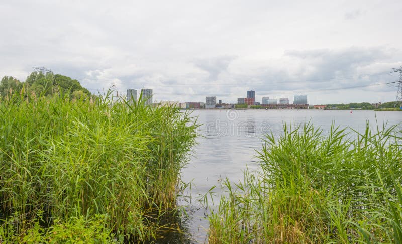 Skyline of a City Along the Shore of a Lake Stock Photo - Image of town ...