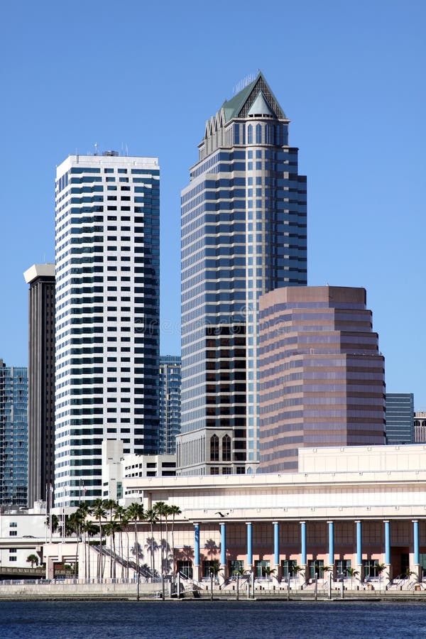 Skyline Da Cidade De Tampa Com Rio Foto de Stock - Imagem de ...