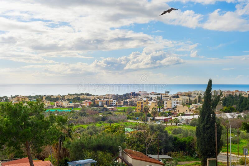 Skyline Paphos Bird Flying Cyprus Stock Photo - Image of palms, travel ...