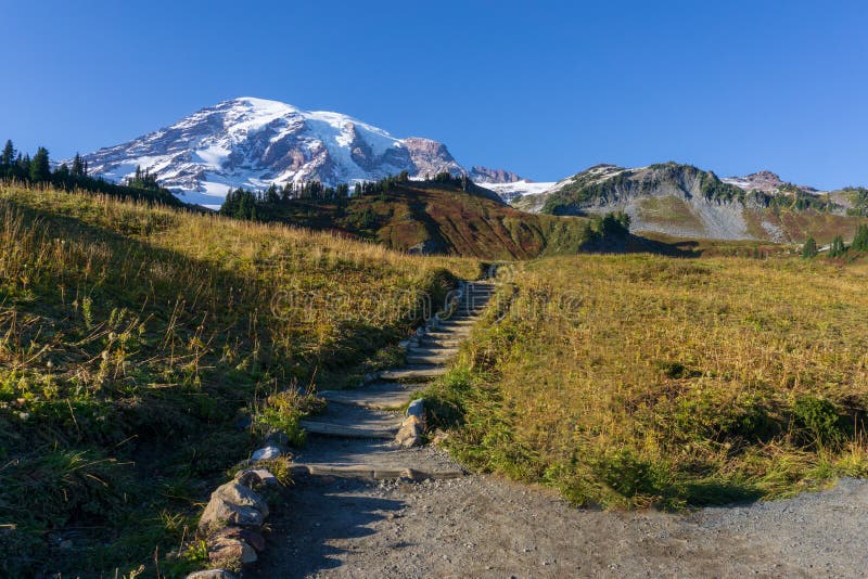 The Skyline Trail at Mount Rainier National Park Stock Image - Image of ...