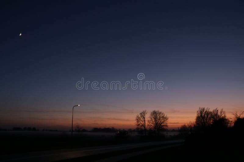 A Skyline of Trees and a Single Lamp Post during Sunset Stock Image ...