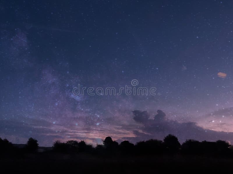 A Skyline of Trees Under Starlight Stock Image - Image of nighttime ...