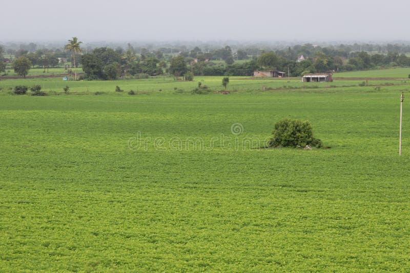 Farmingview Stock Photos - Free & Royalty-Free Stock Photos from Dreamstime