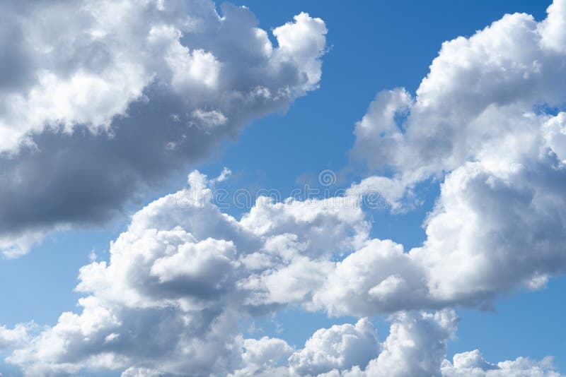 A Skyscape with Cumulus Clouds in White and Grey and a Clear Deep Blue ...