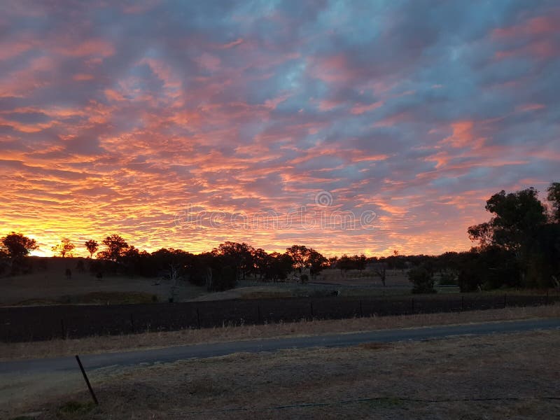 Skyscape sunsets stock photo. Image of sunsets, clouds - 125621030