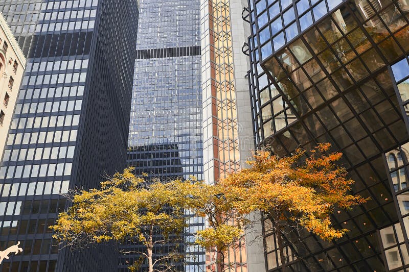 Skyscraper from below stock photo. Image of perspective - 128702134