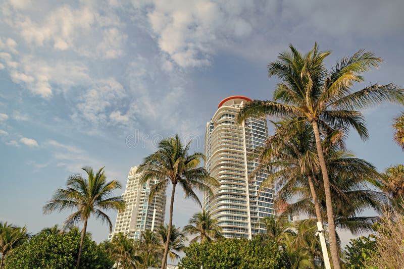 Skyscraper Building with Palms. Skyscraper Building in Miami ...