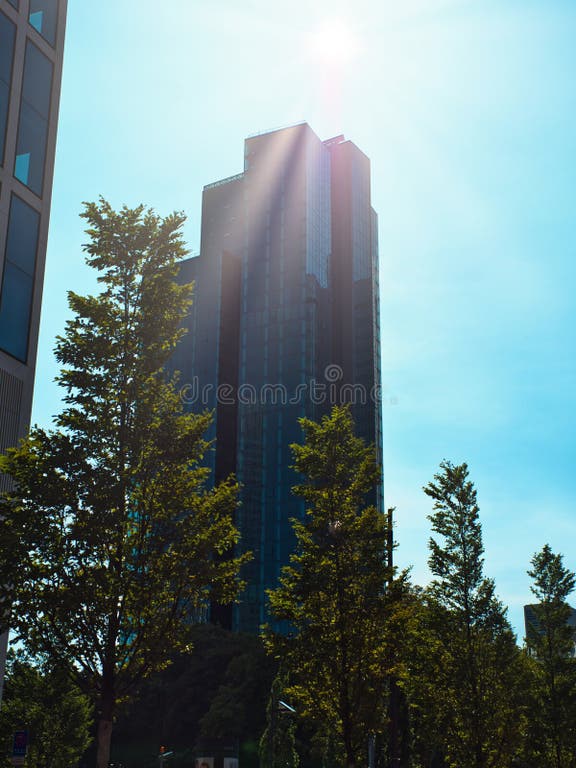 Skyscraper with a Glass Front with Trees in the Foreground and a Sun ...