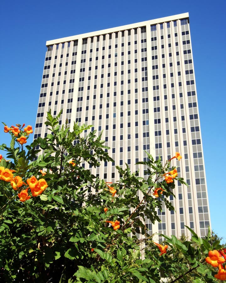A Skyscraper with Orange Flowers Stock Image - Image of manmade, office ...
