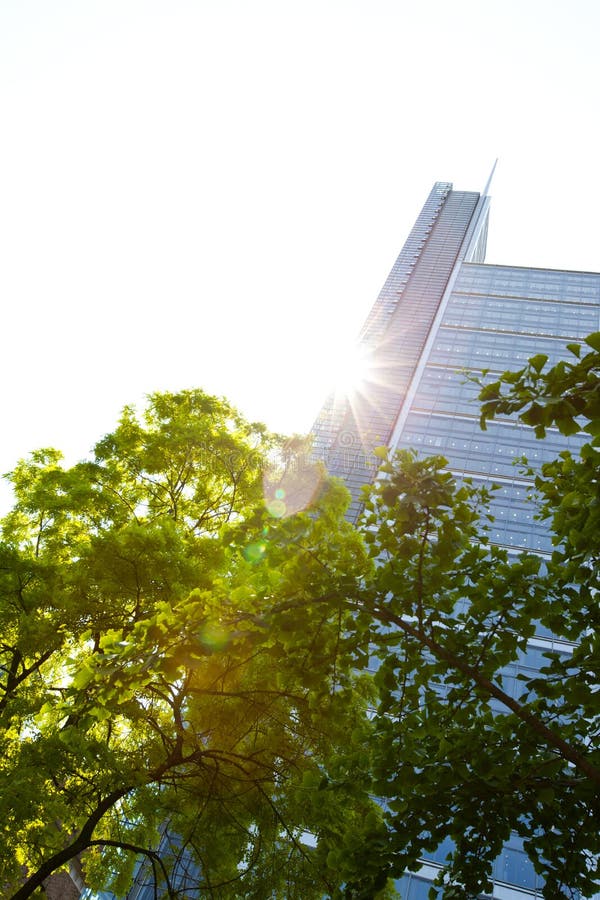 Skyscraper Seen Though Trees Stock Photo - Image of space, outdoors ...