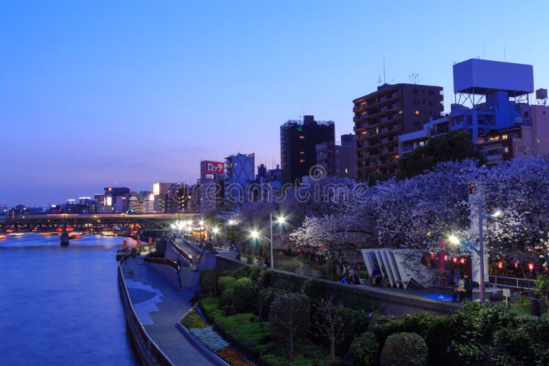 Skyscraper and Sumida River in Tokyo at Dusk Editorial Photo - Image of ...