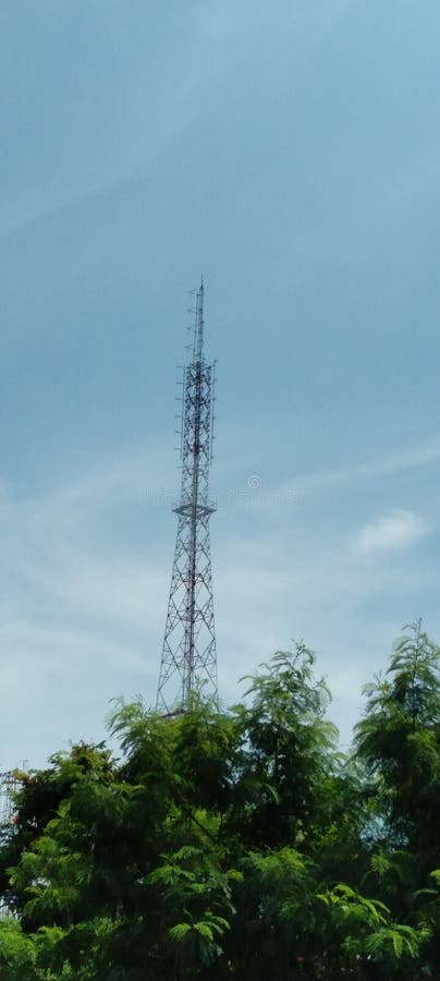 Skyscraper Tower , Tree and Telecommunication Stock Image - Image of ...