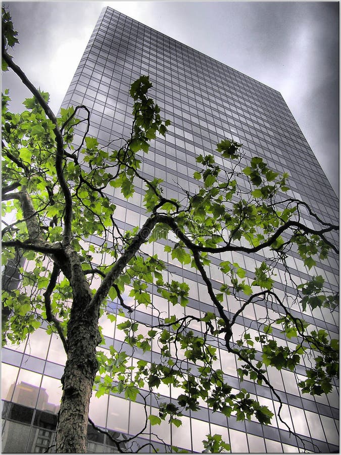 Skyscraper in the Urban City Stock Image - Image of windows, york: 60323251
