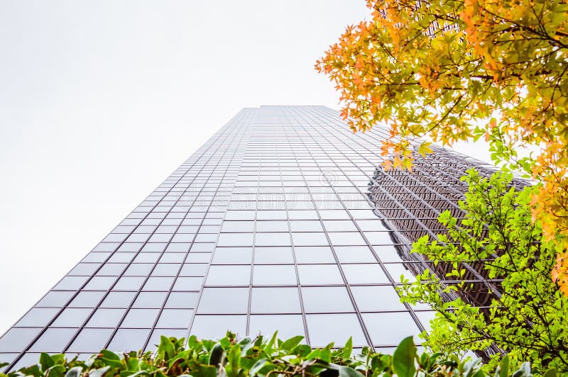 Skyscraper View from the Bottom Stock Photo - Image of build, material ...