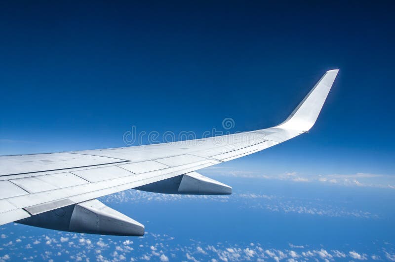 Skyward Bound, Capturing the Majestic Airplane Wing from Your Window ...