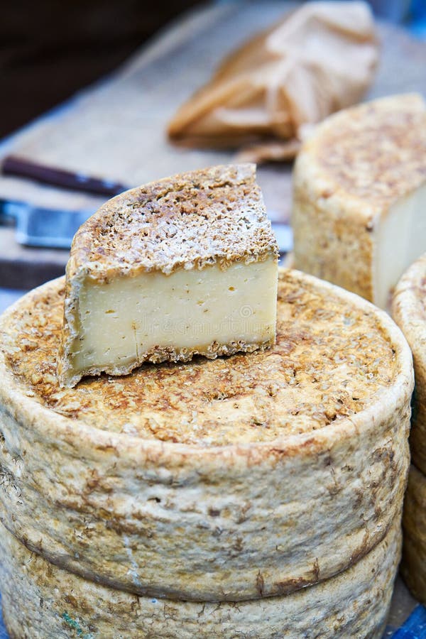 Slab and head of Cheese stock image. Image of organic - 81170137