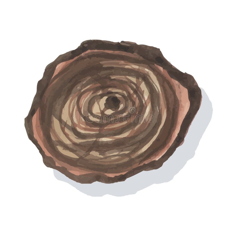 Slab Vector Wood Stock Illustrations – 372 Slab Vector Wood Stock ...