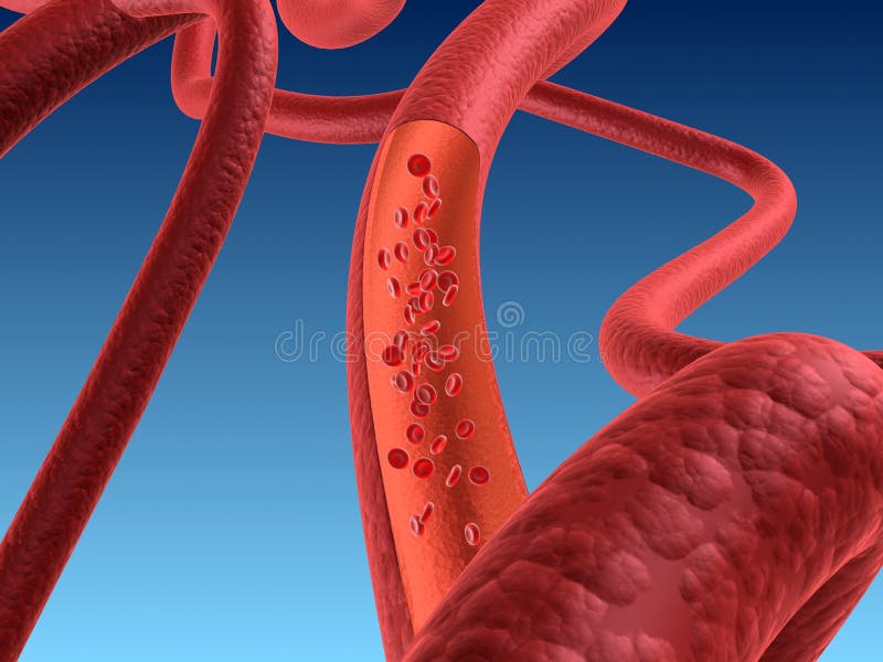 Slagader stock illustratie. Illustration of ader, leukocyt - 14137019