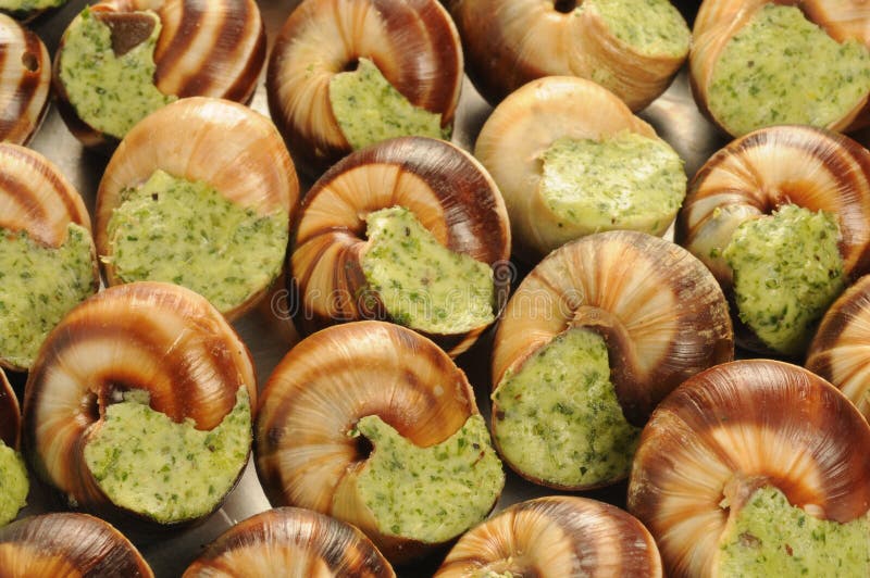 Slakken stock foto. Image of slakken, grijs, verrukkingen - 17516134