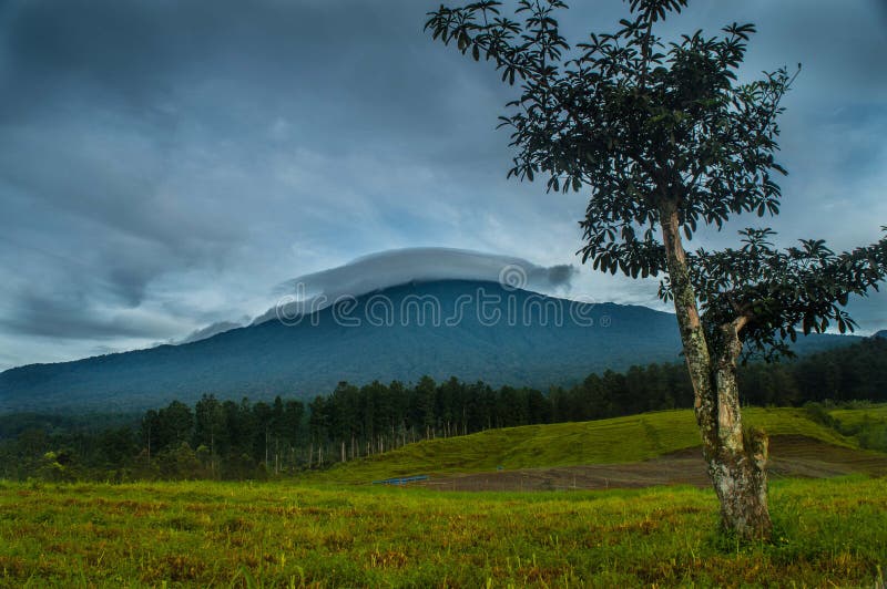 Mountain in java stock photo. Image of mountain, java - 223804728