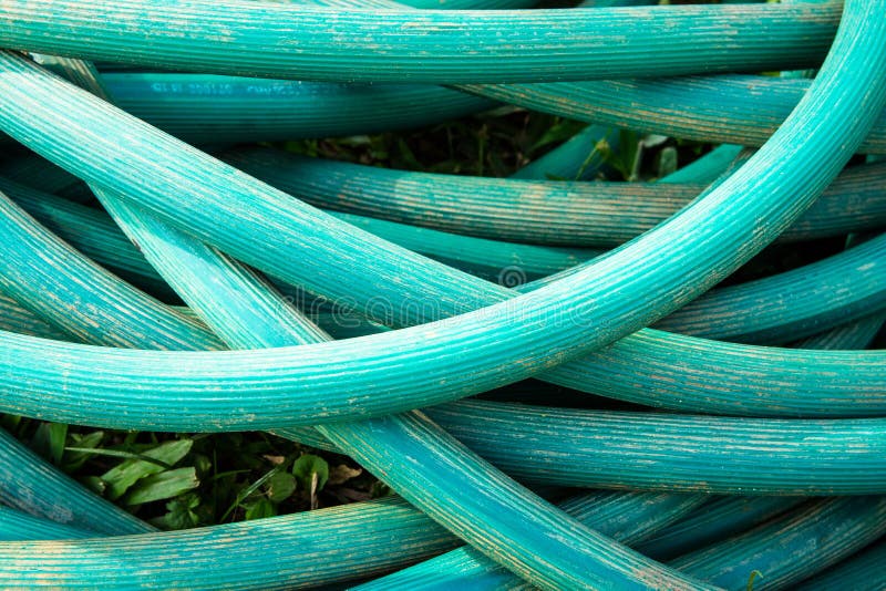 Slang groen in gazon stock afbeelding. Image of installatie - 61981431