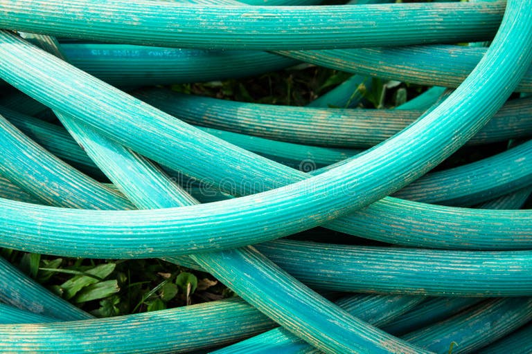 Slang groen in gazon stock afbeelding. Image of installatie - 61981431