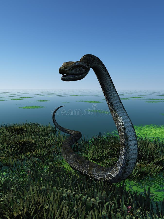 Slang op het gras stock afbeelding. Image of hoofd, dier - 78156795