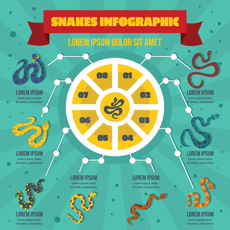 Infographic Slang, Malplaatje, Diagram, Grafiek, Chronologie Vector ...