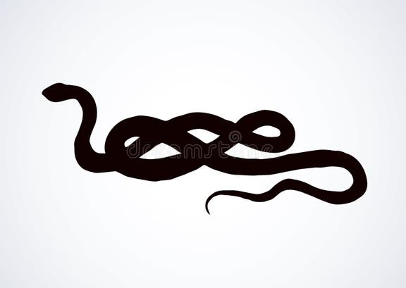 Slang Vector tekening vector illustratie. Illustration of slang - 120957374