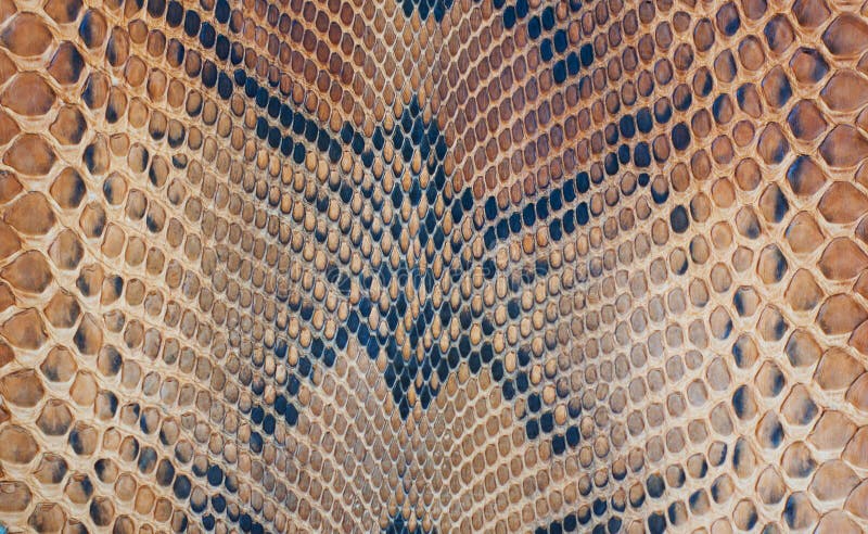 Het Patroon Van De Huidslang Stock Afbeelding - Image of huid, dieren ...