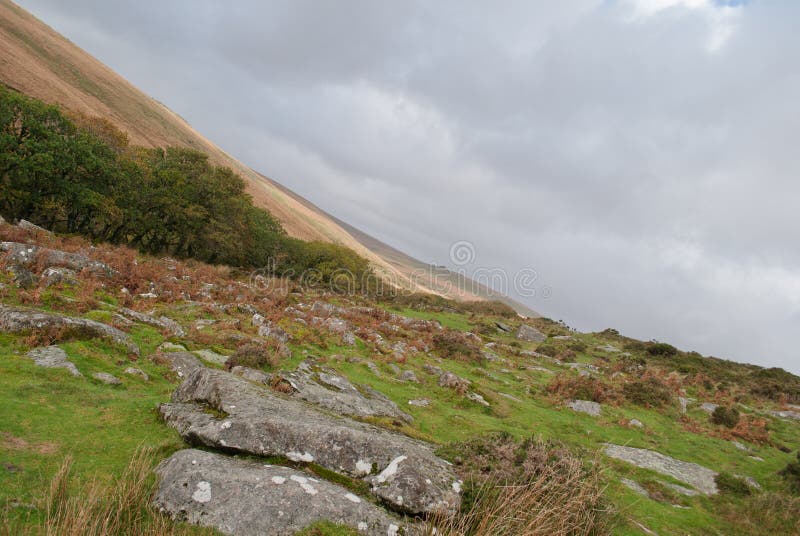 Slanted View Of The Green Lawn And White Pots Aboard Celebrity Eclipse ...