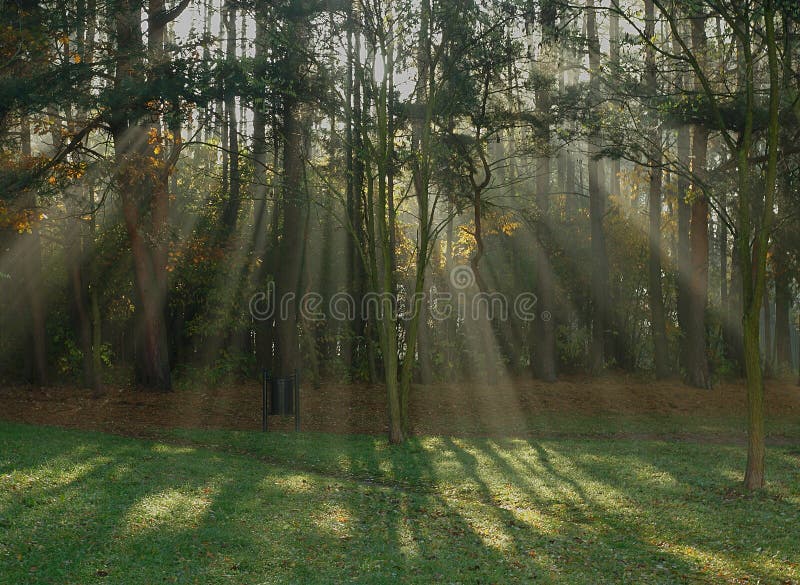 Slanting light. stock photo. Image of city, poland, outdoor - 69228546