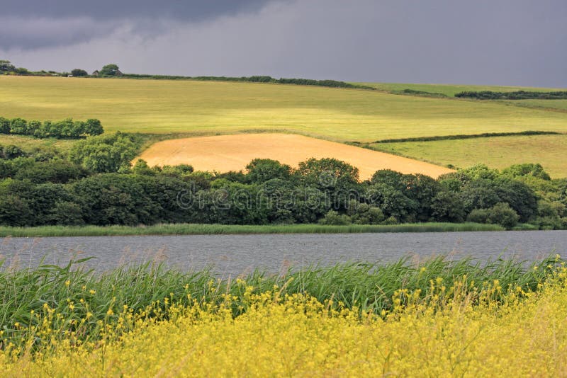 Slapton Ley, Devon stock photo. Image of rural, country - 79002746