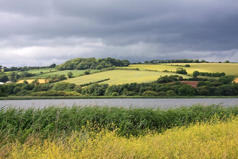 Slapton Ley, Devon stock image. Image of yellow, devon - 76649007