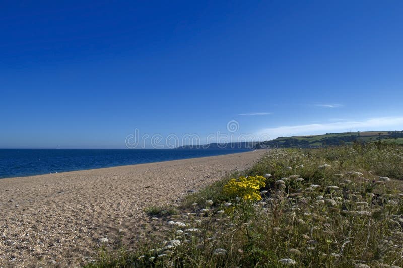 Slapton sands stock image. Image of scenery, channel, english - 7665113