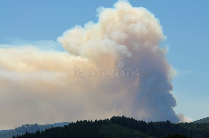 Wildfire silhouette stock photo. Image of dark, california - 55989802