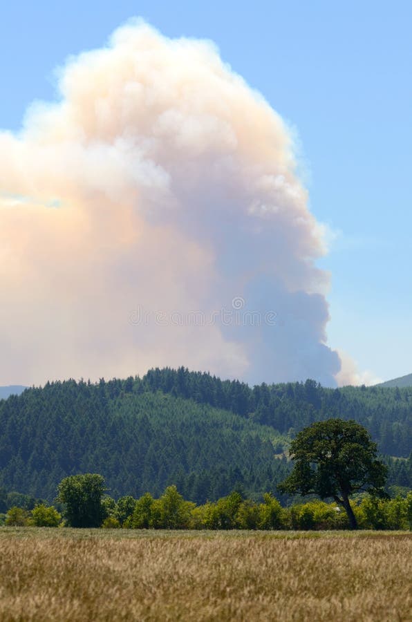 101 Small Natural Cover Fire Stock Photos - Free & Royalty-Free Stock ...