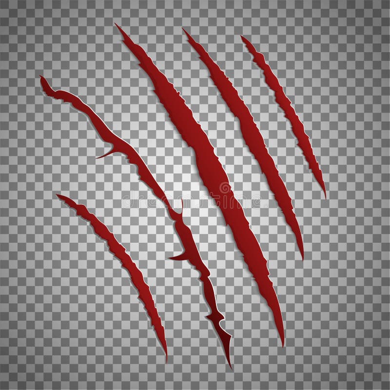 Slash Scratch Set on Transparent Background. Vector Scratching Beast ...