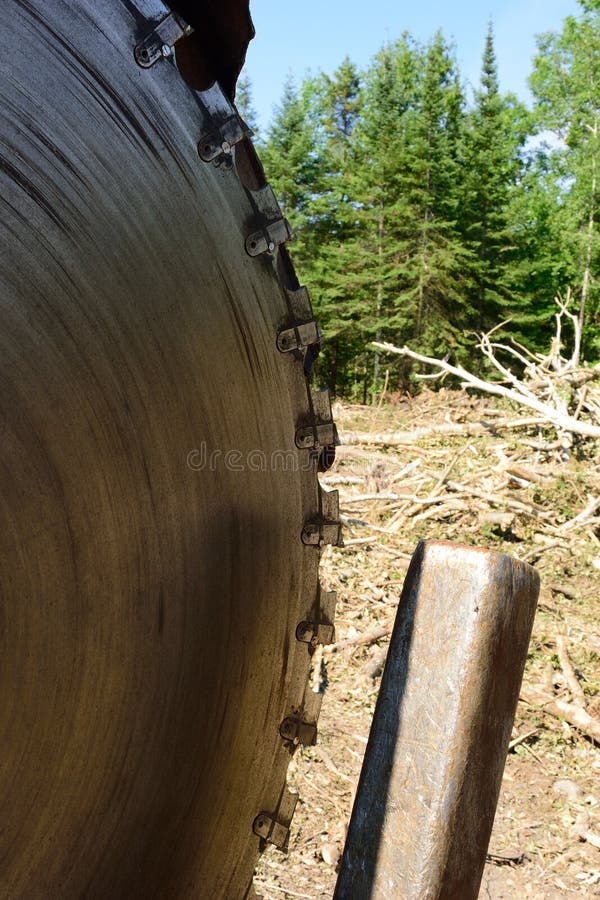 Slasher Circular Saw Log Landing Stock Photos - Free & Royalty-Free ...