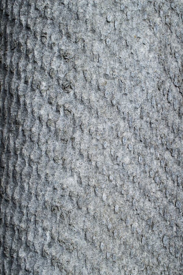 Asbestos Plates Stock Photos - Free & Royalty-Free Stock Photos from ...