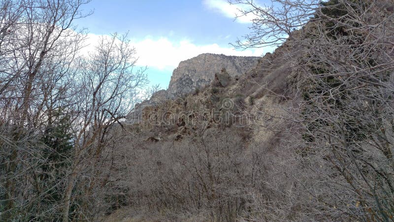 Slate Canyon Cliffs and Trees Stock Photo - Image of rocky, slate ...