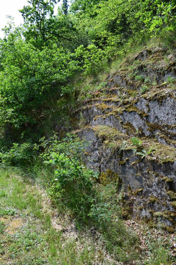 Slate Cliff with Spring Trees Stock Photo - Image of plant, woodland ...