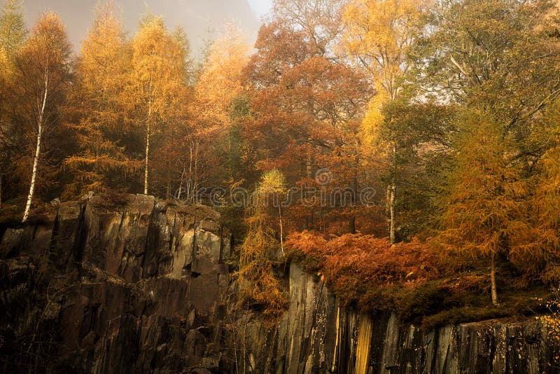 Slate edge trees stock image. Image of park, rock, fresh - 104140671