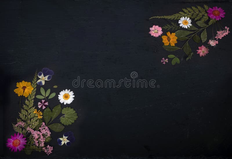 Slate with space text stock image. Image of summer, nature - 299933827